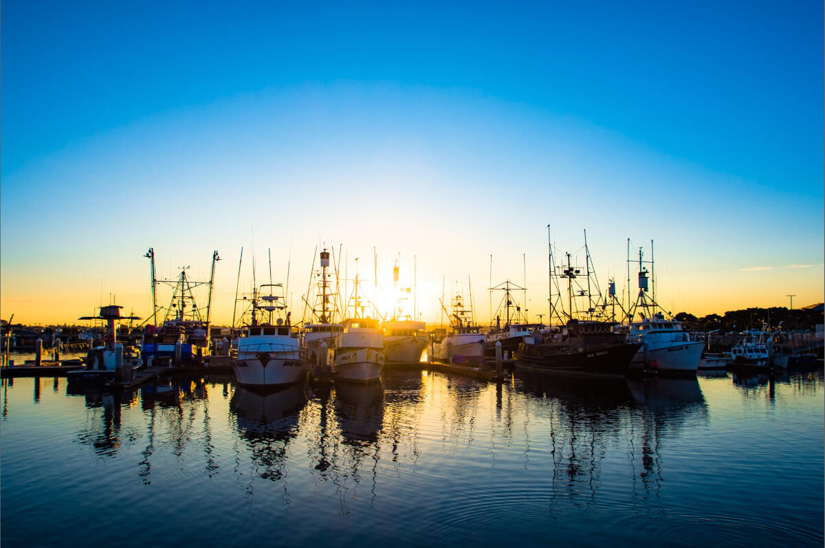 Government Photographer | Strategic Visuals for Public Agencies